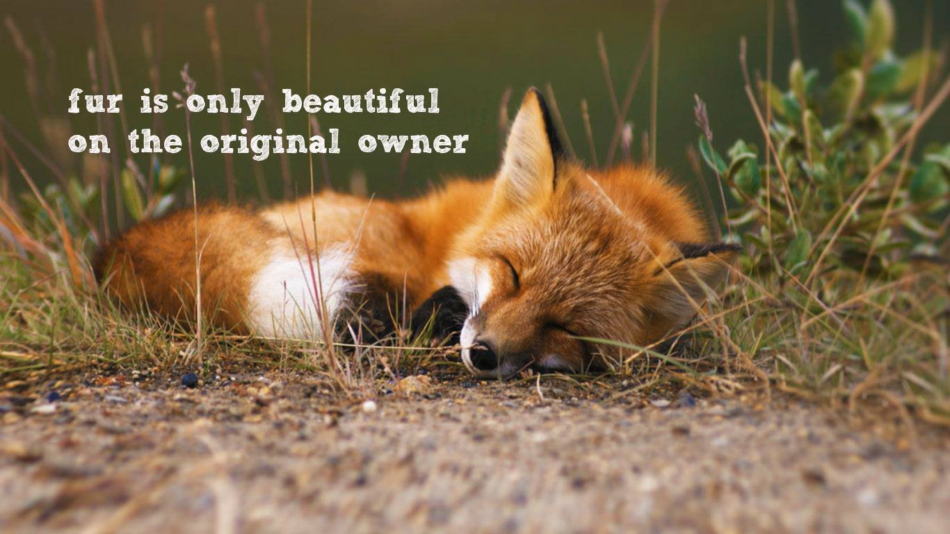 We want a Fur Free UK- sign our letter – Respect for Animals