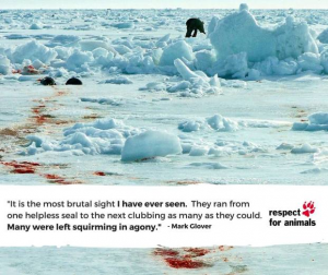 A Guide To Fur Bans Around The World – Respect for Animals
